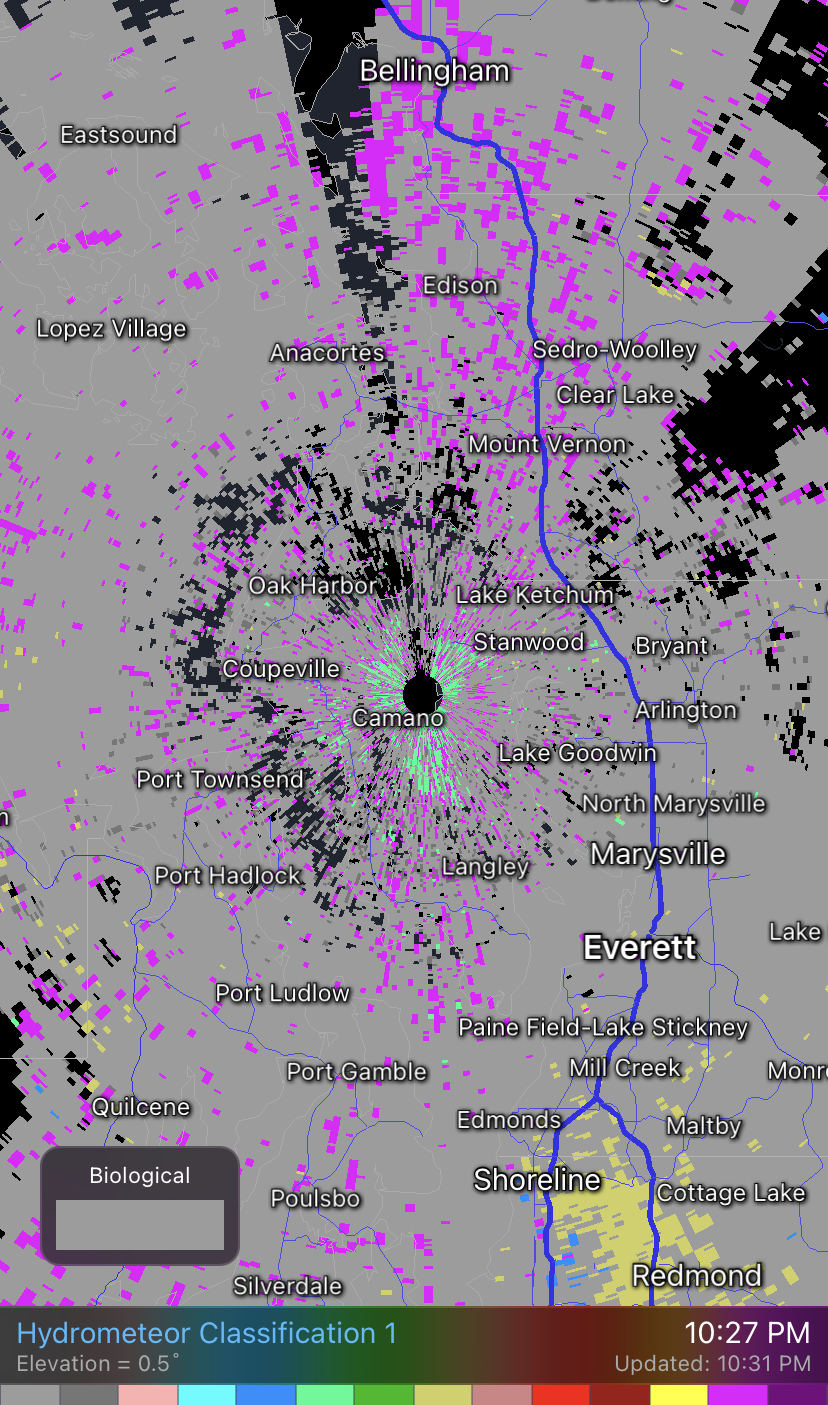 Tracking migrating birds with weather radar – The Convergence Zone