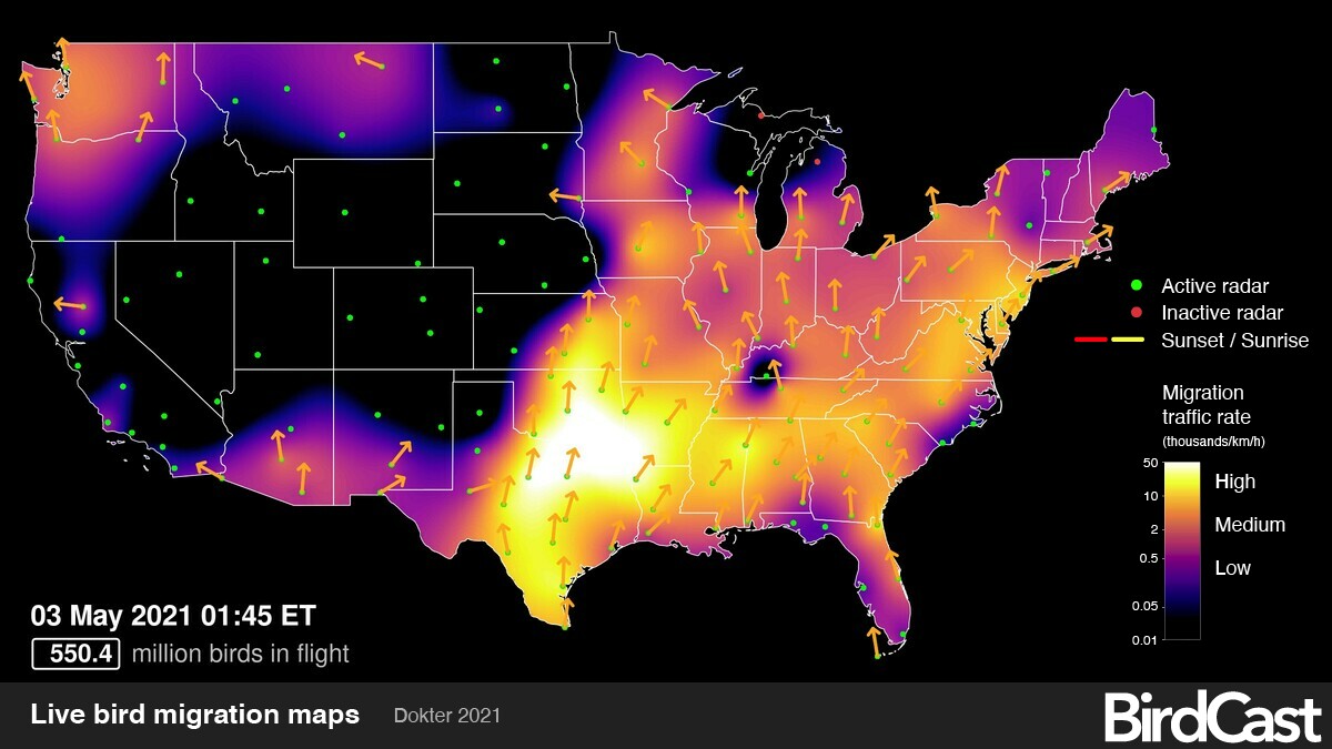Tracking migrating birds with weather radar – The Convergence Zone
