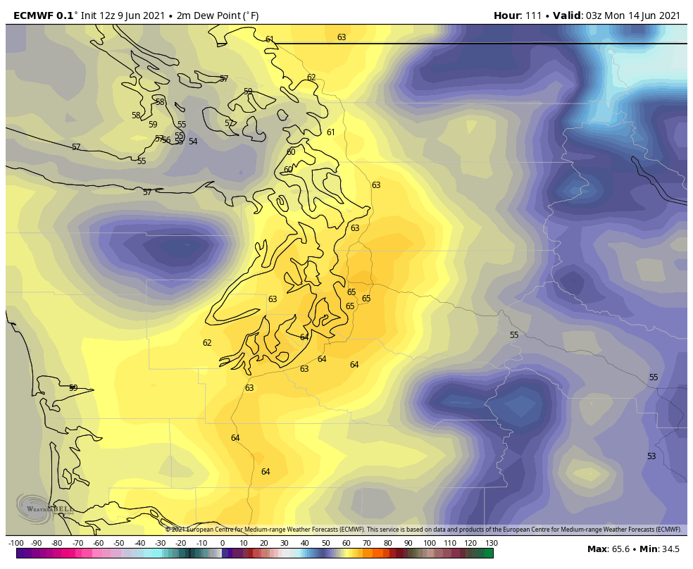Will Sunday be the most humid day in Seattle in the last decade? – The ...